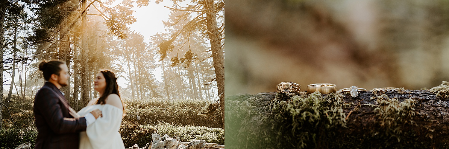 Hall of Mosses, Hoh Rain Forest, and Ruby Beach Tiny Wedding