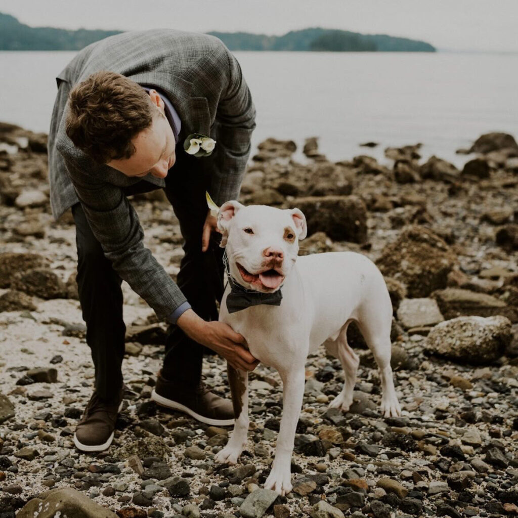 Dog Friendly Elopement Locations in Washington State